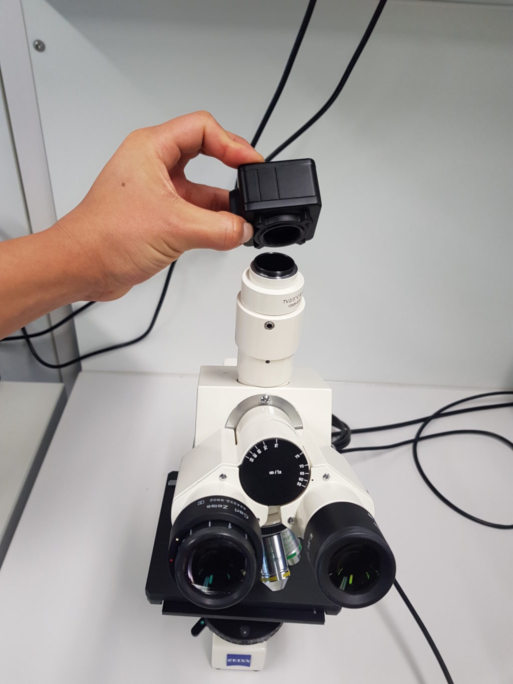 Oculyze: Connecting the Camera with the Yeast Cell Microscope