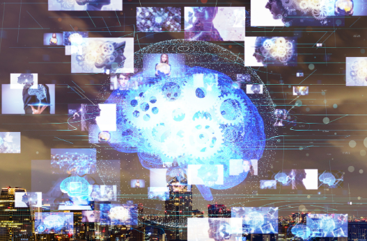 Image Recognition Software - Oculyze