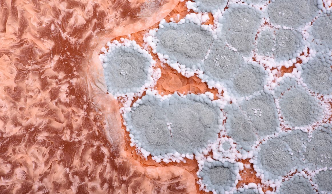 Contaminated Beer: Signs, Prevention & Solutions