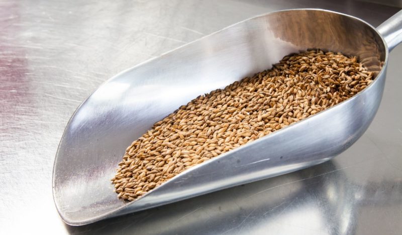 What Is a Malt Beverage? Your Questions Answered