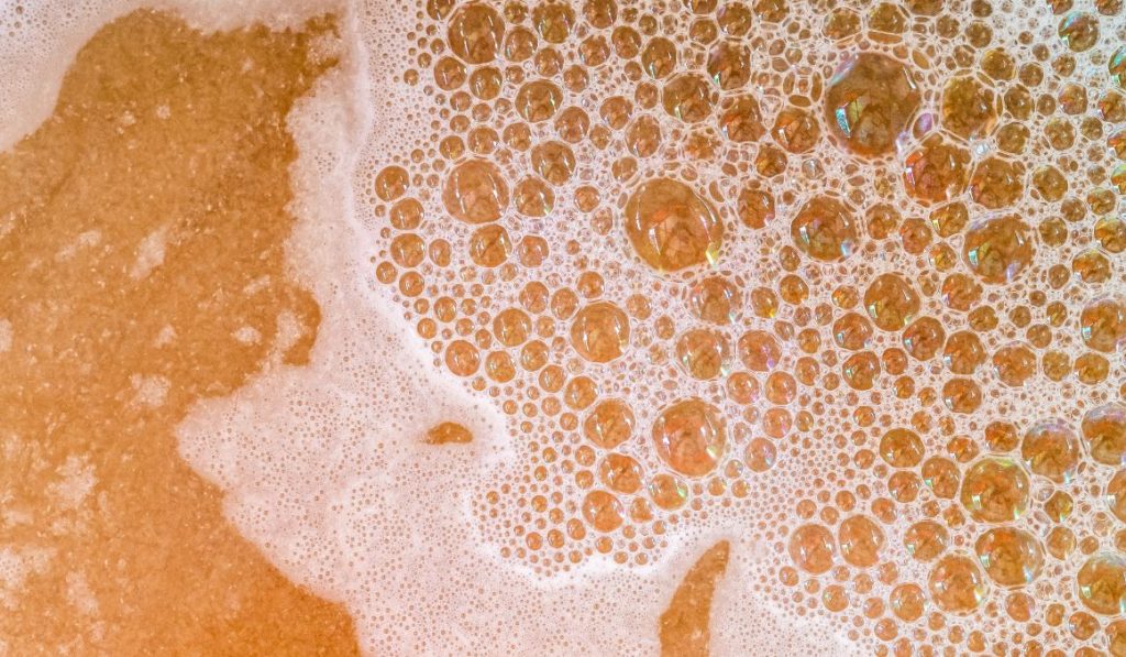 Wild Yeast Contamination in Beer: Causes and Prevention