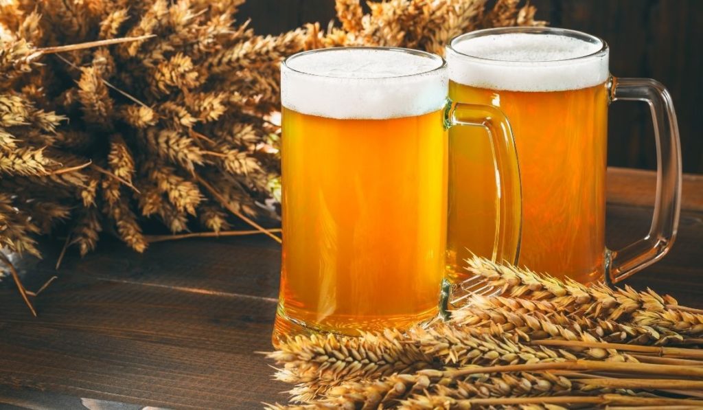 What Causes Turbidity in Beer? Your Need-to-Know Guide