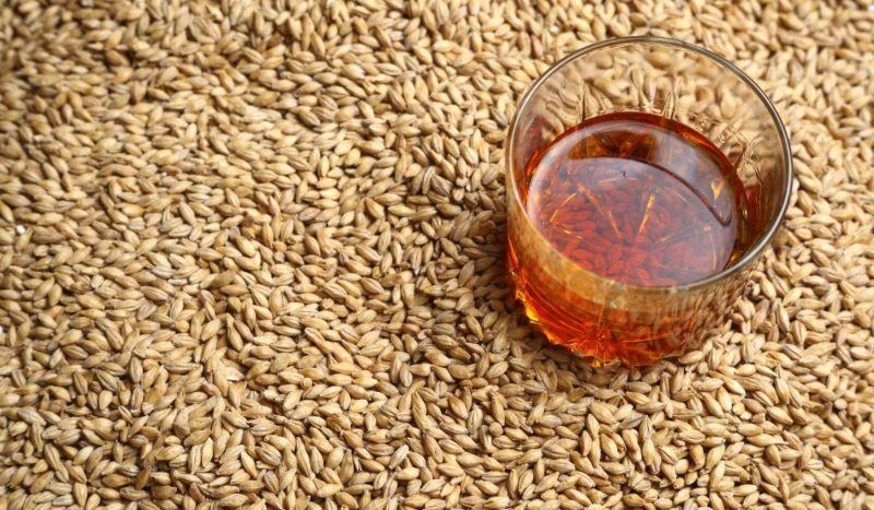 Malt Beverage vs Beer: What Are the Differences?