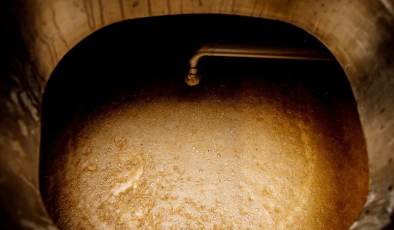 What Is the Difference between Top and Bottom Fermented Beer?