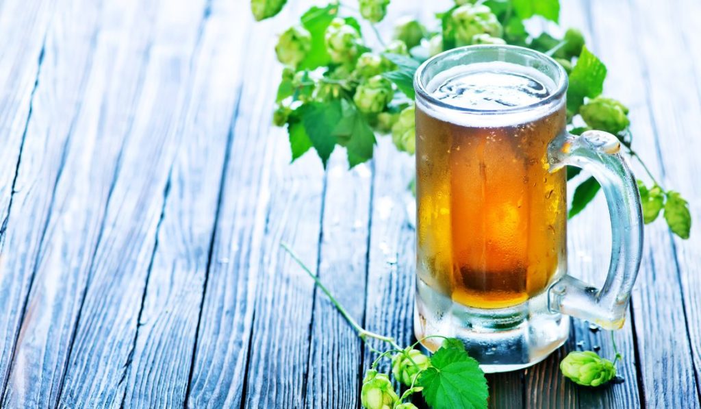 How Long Does It Take for Beer to Go Stale? Your Guide