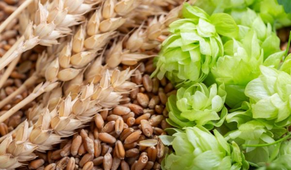 How to Describe the Smell of Beer: The Range