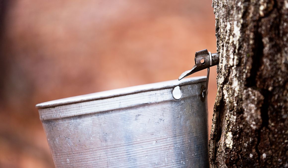 How to Get Maple Taste in Beer