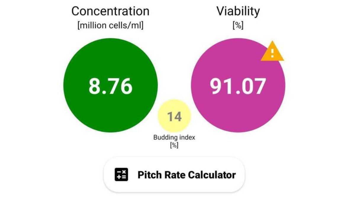 New Design & Usage Updates to the BB App