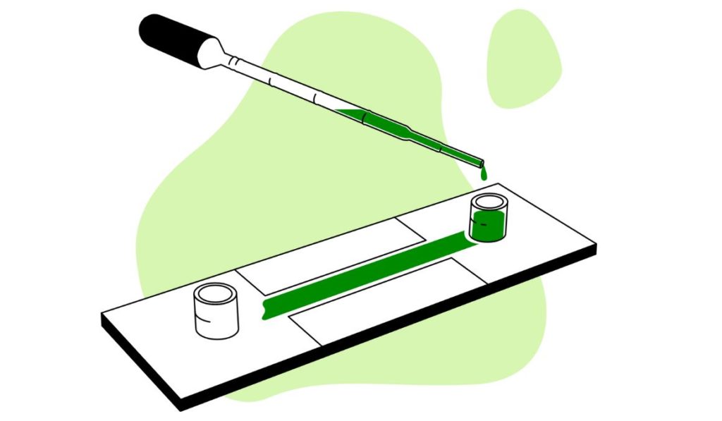 The Best Microscope for Counting Yeast Cells