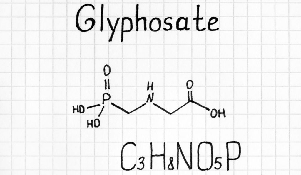 Beer Contaminated with Roundup: Is It Dangerous?