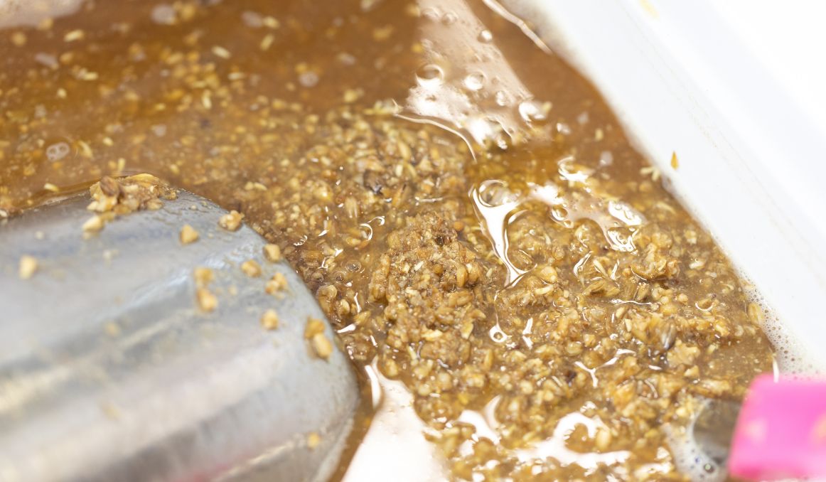 Does Yeast Multiply During Fermentation?