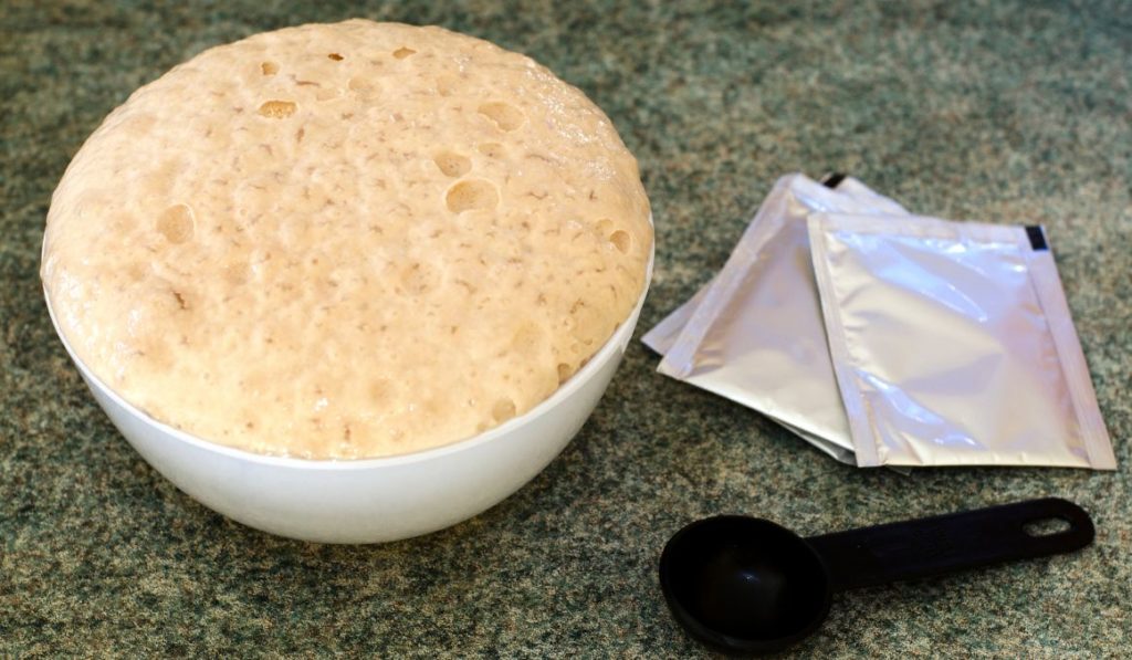 Yeast Propagation Steps