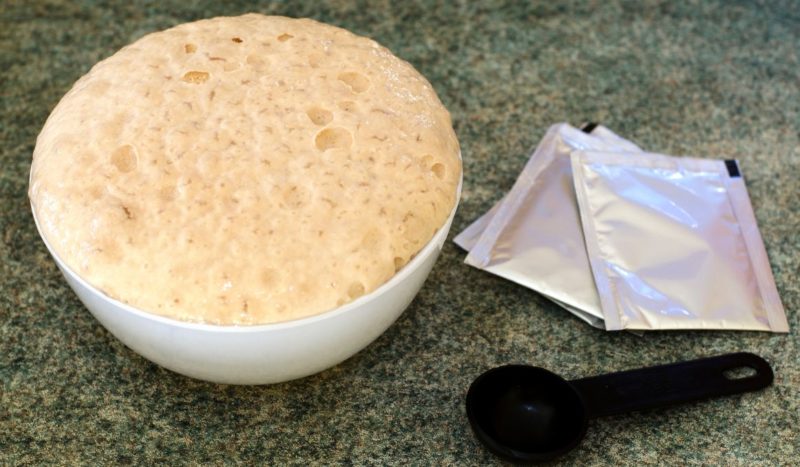 Yeast Propagation Steps