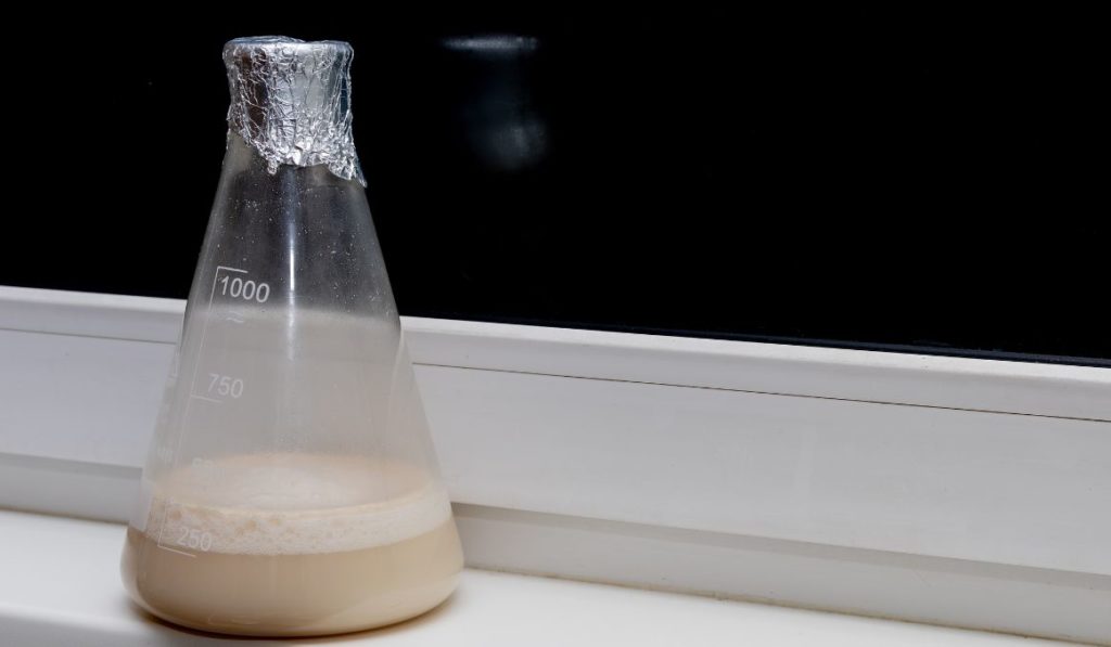 Yeast Propagation Steps