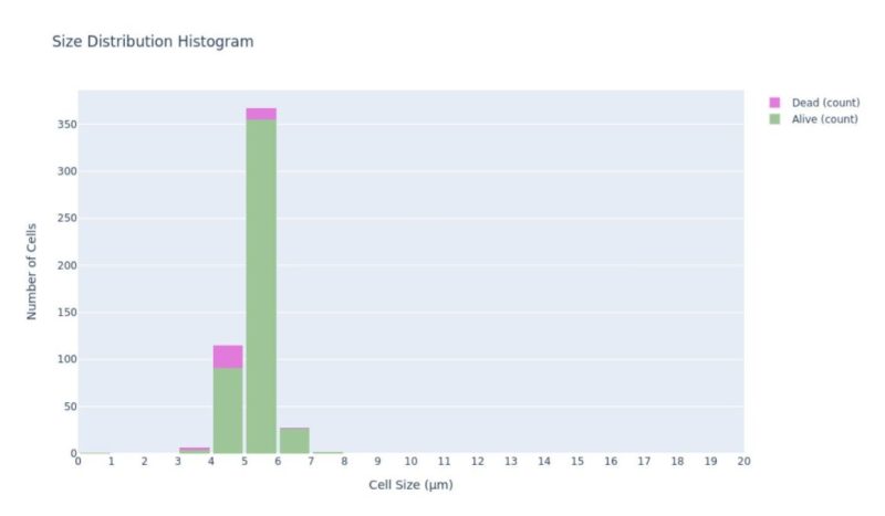 Yeast cell size (beer)