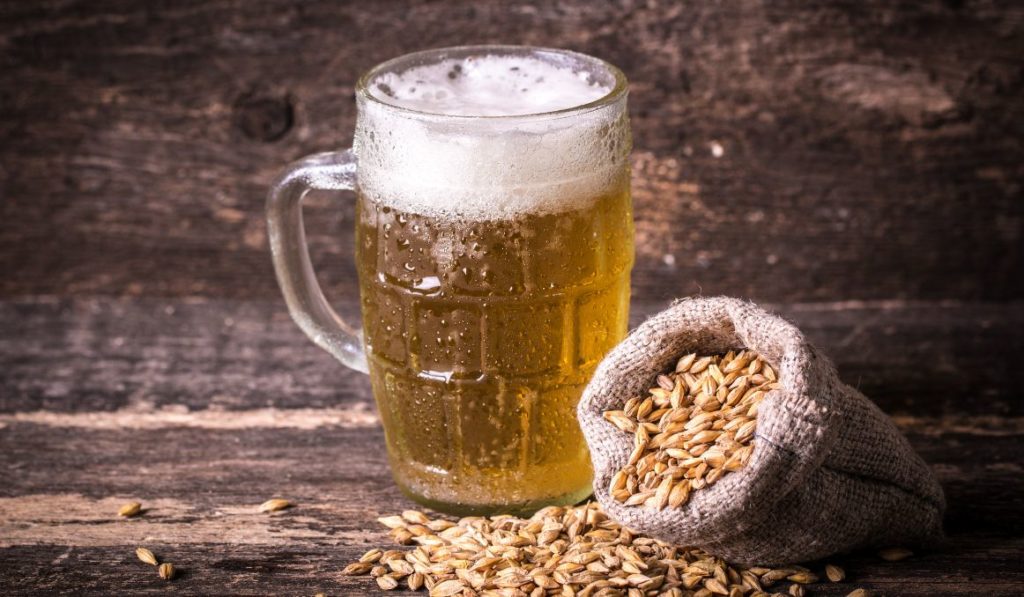 Barley Wine Vs Beer: The Differences