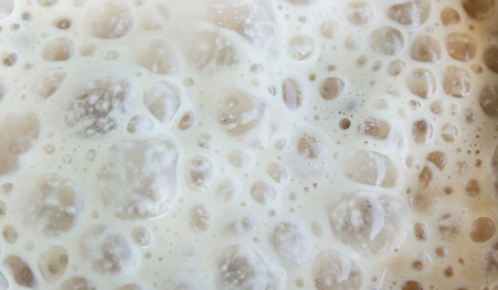 Fermentable Carbohydrates: List and Details