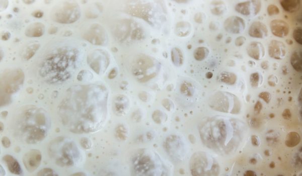 Fermentable Carbohydrates: List and Details