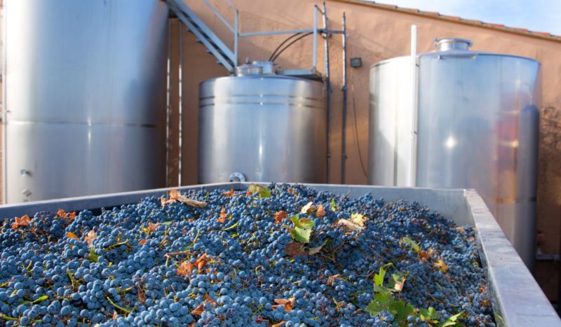 Fermentation Formula for Wine