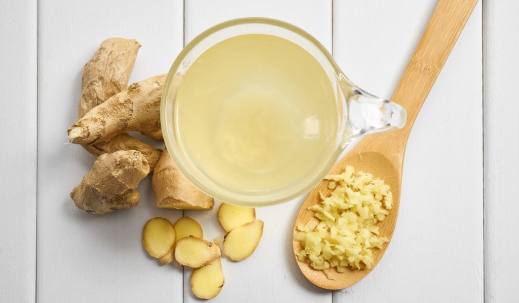 Is Ginger Beer Carbonated?