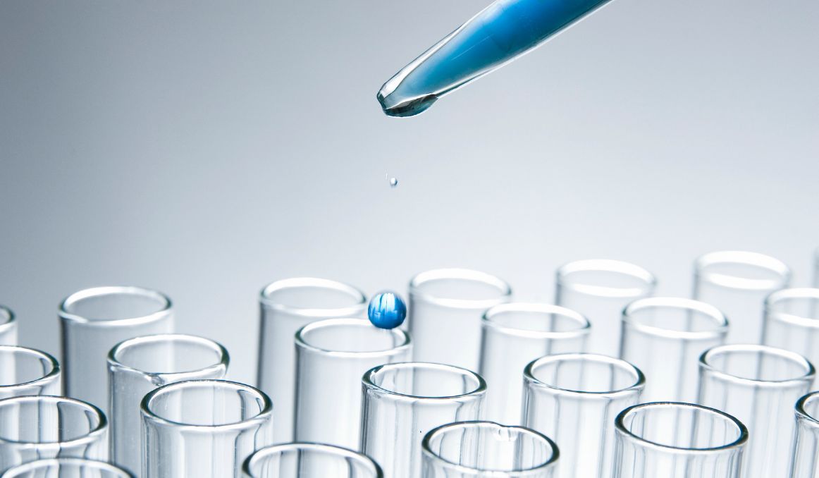 How to Stain Yeast Cells