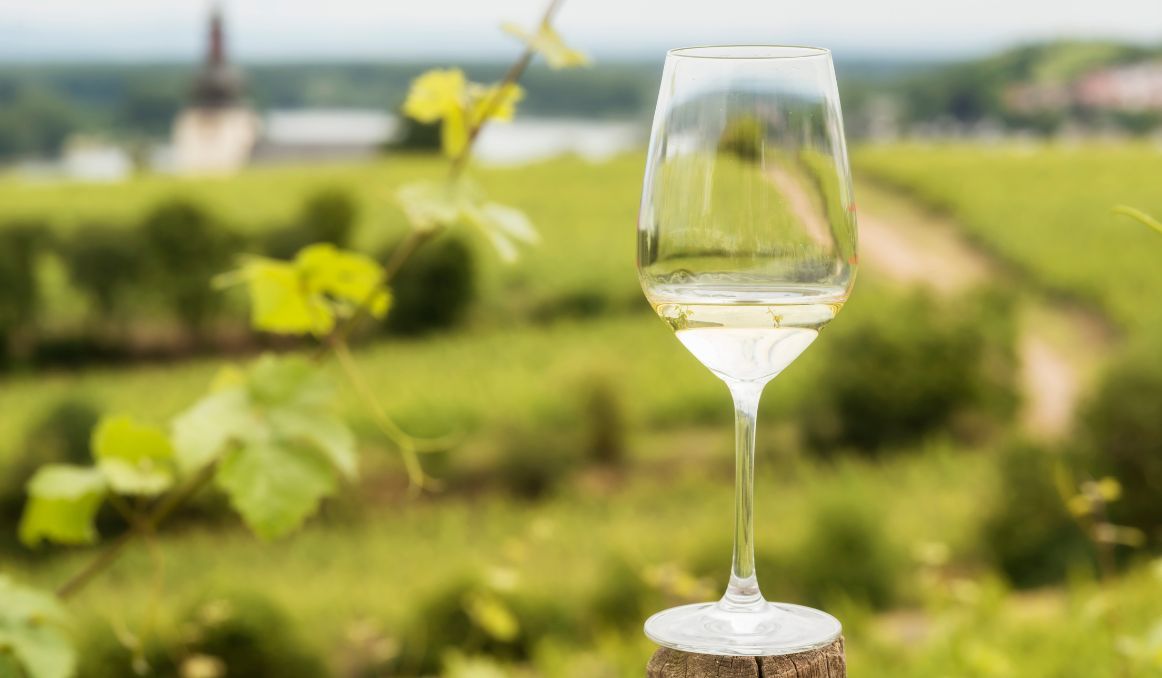 Best Yeast for Riesling