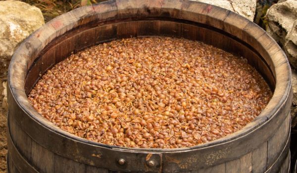 Skin Contact Wine: Meaning