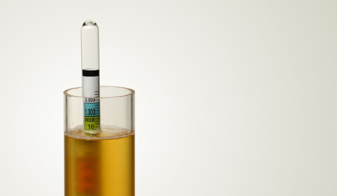 What Is High Gravity Beer?