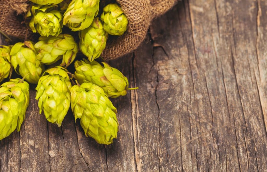 Hop Varieties: Chart and Flavor Profiles