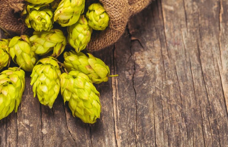 Hop Varieties: Chart and Flavor Profiles