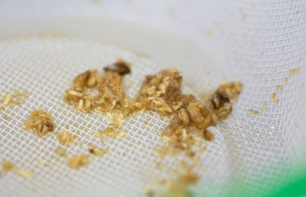 Beer Filtration Methods