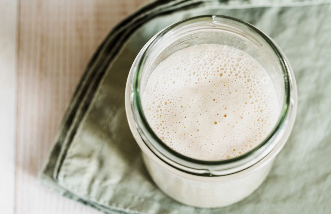 Kahm Yeast on Sourdough Starter