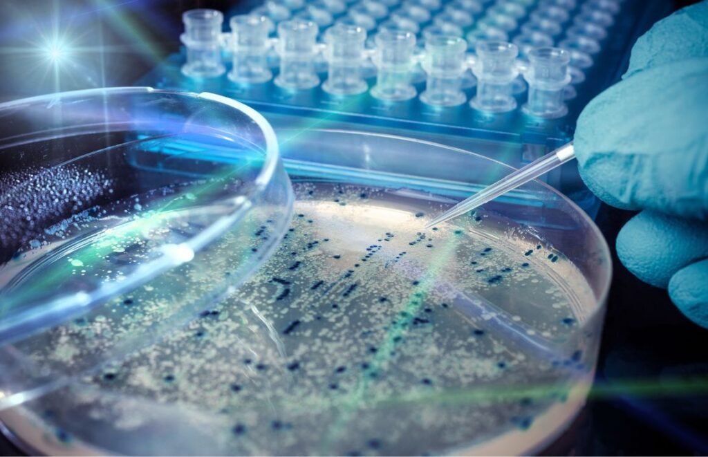 What Are Colony Forming Units?