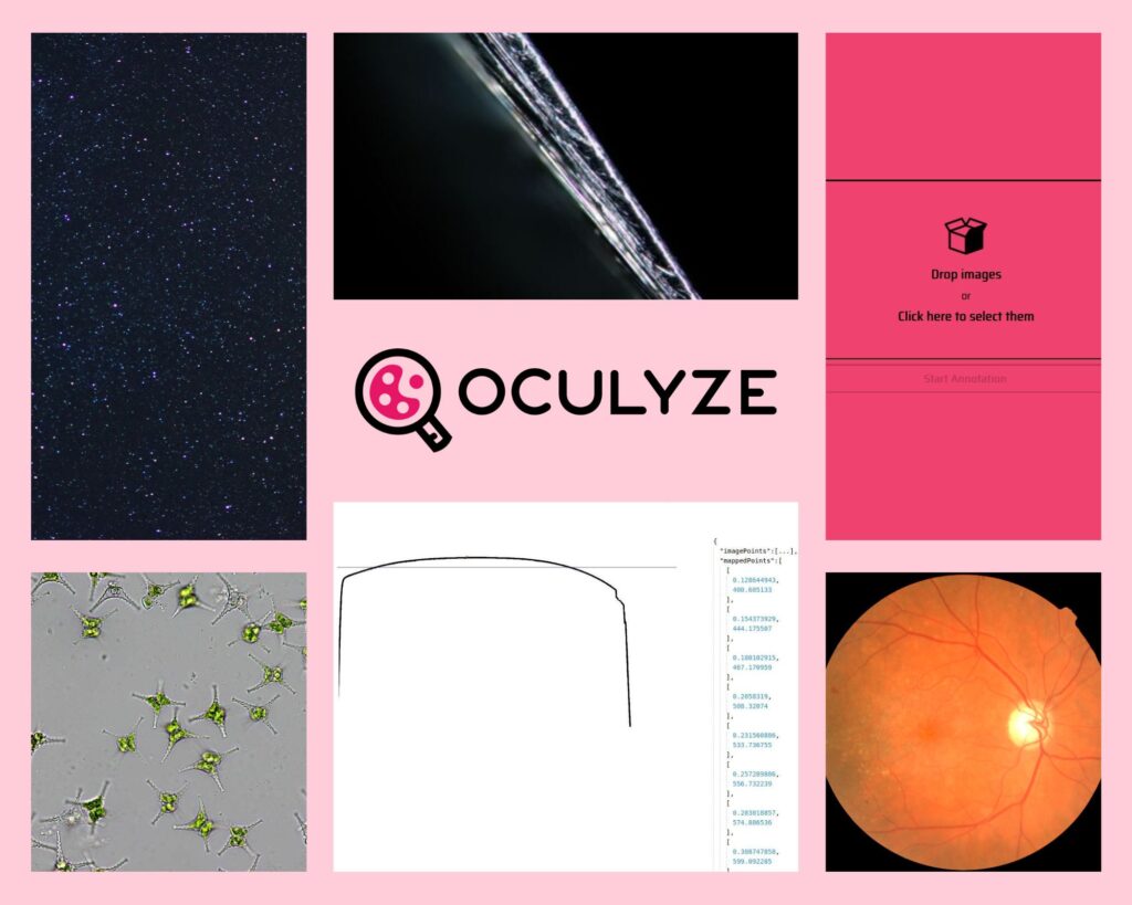 Application of Computer Vision in the Medical Field