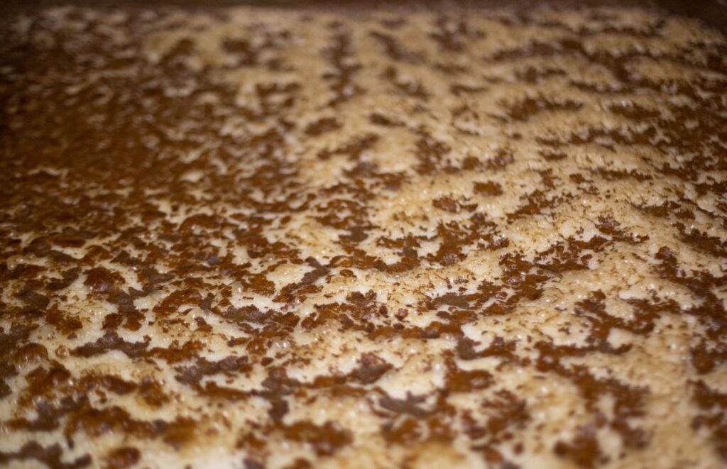 Top-Fermenting Yeast: Examples & Popular Beers