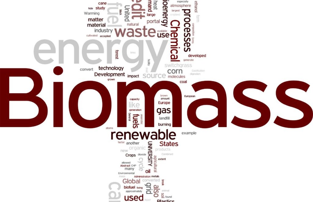 Biomass Fermentation vs Precision Fermentation