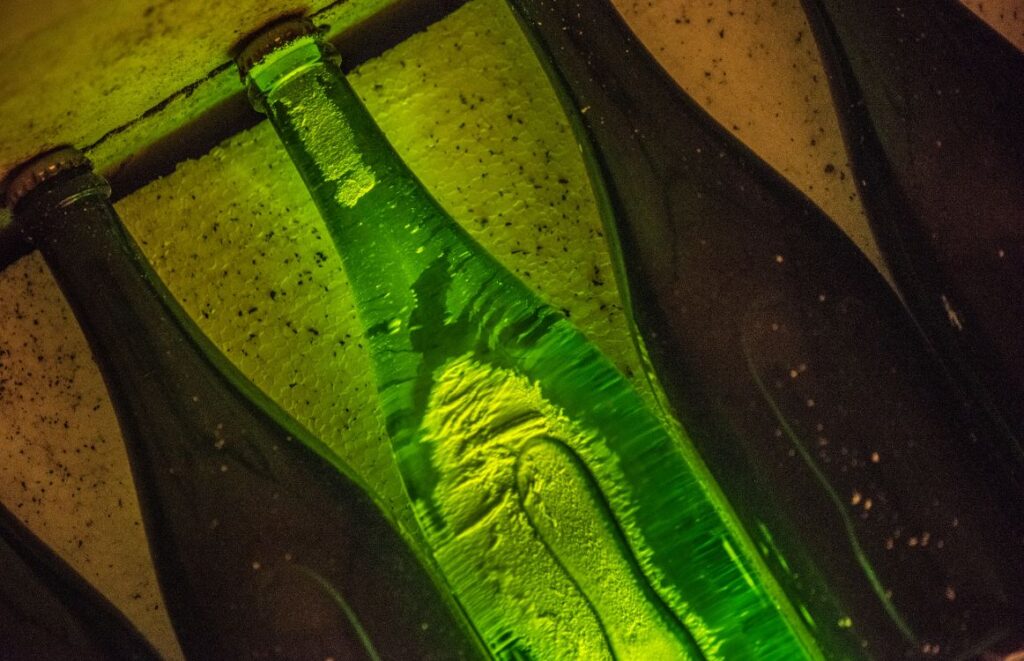 Champagne Yeast Fermentation Temperature