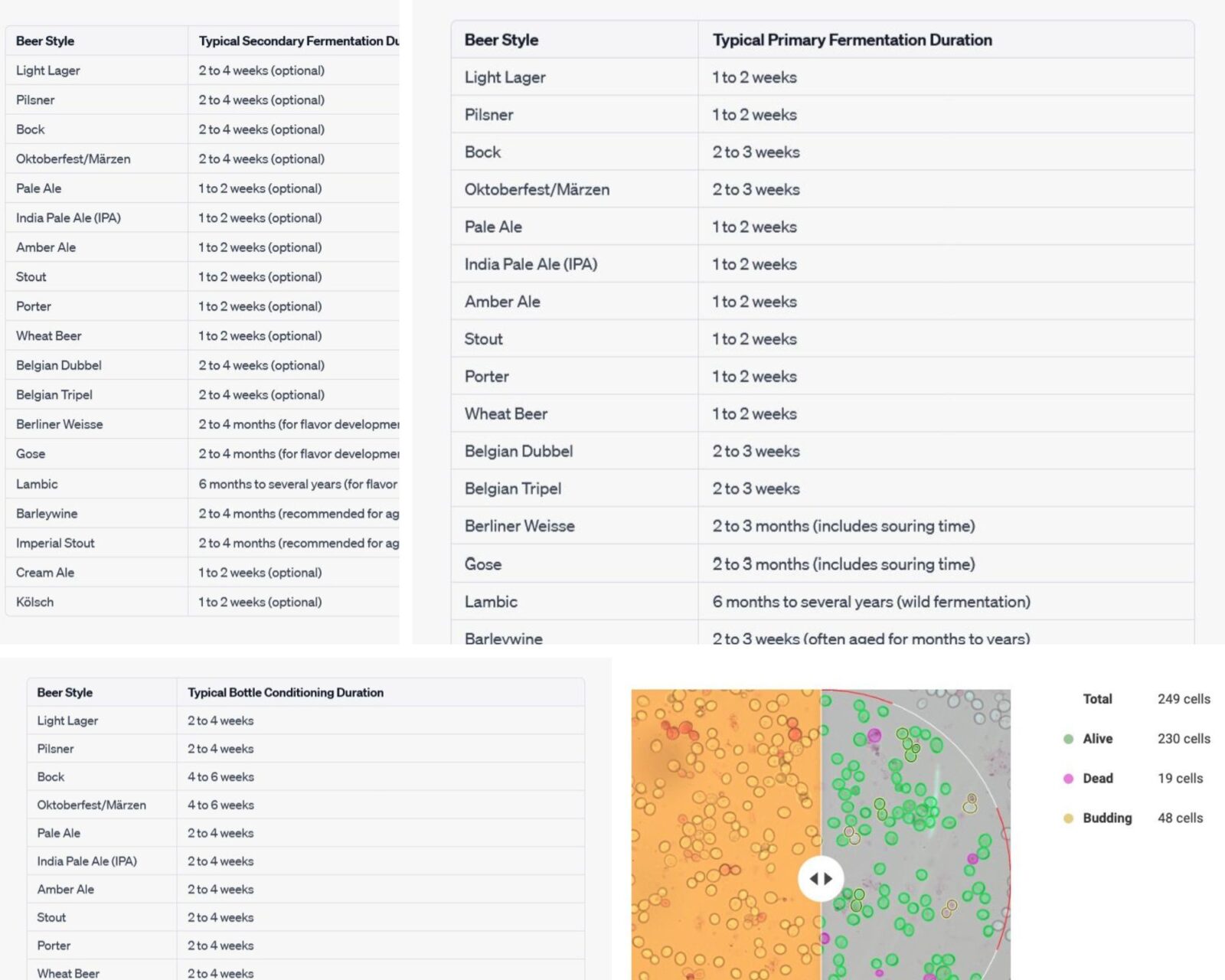 Beer Fermentation Time Chart