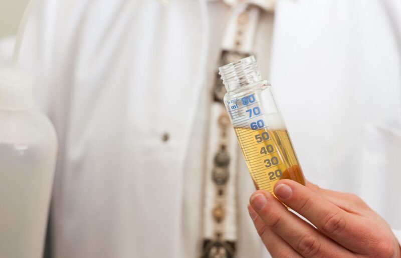 Bacteria Used to Make Beer