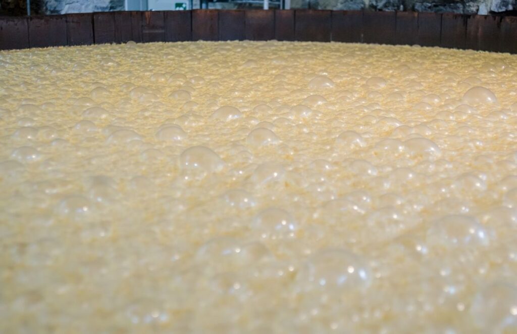 Best Conditions for Yeast Fermentation