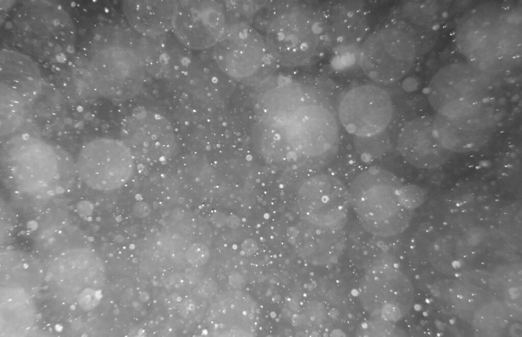 Viable and Non-Viable Particle Count