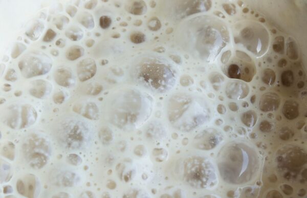 How to Test Yeast Fermentation