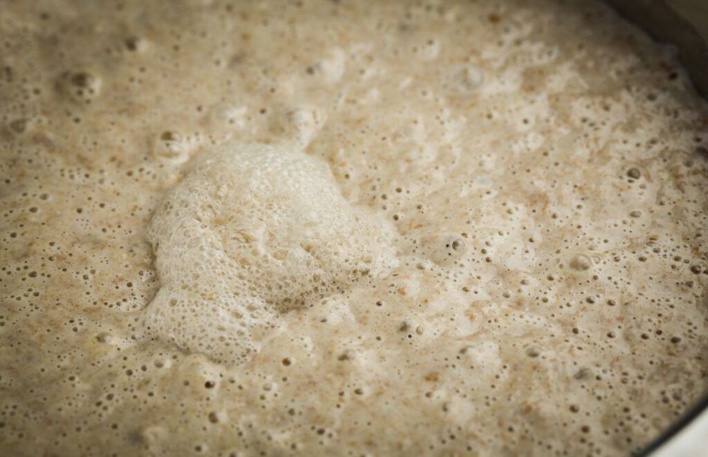 Brewing Yeast vs Baking Yeast