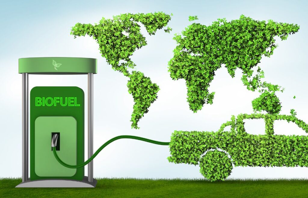 Is Bioethanol Good for the Environment?