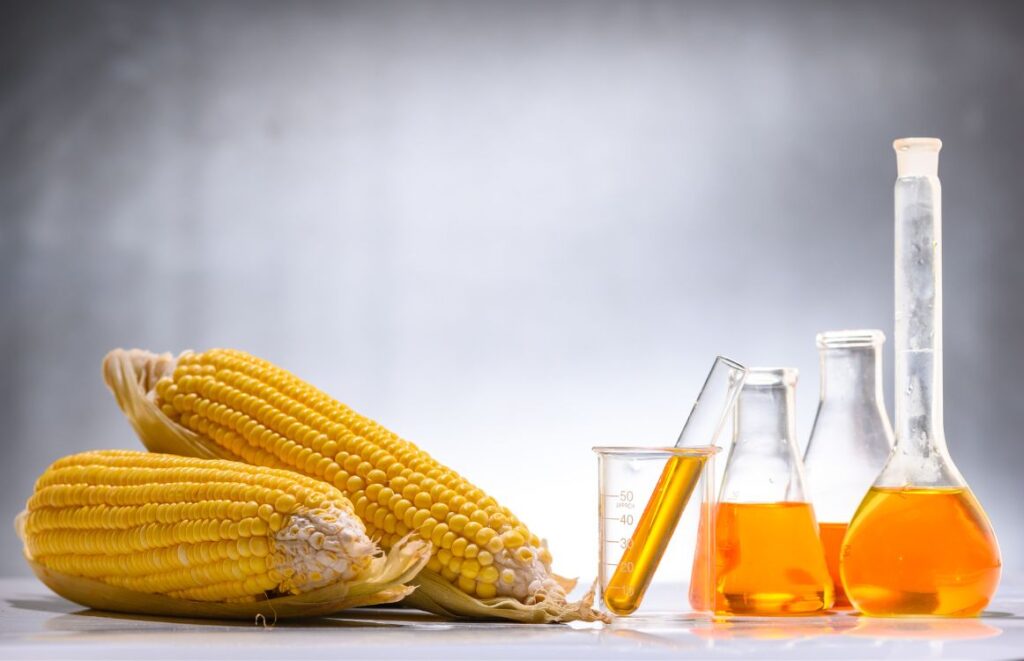 What Is Bioethanol Made From?