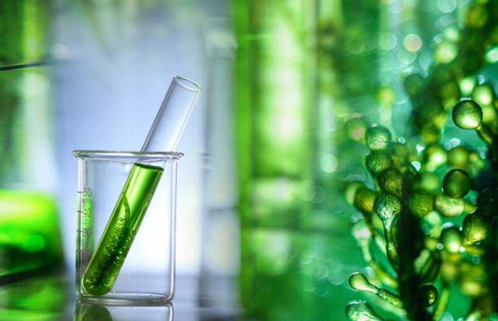 What Is Bioethanol Made From?